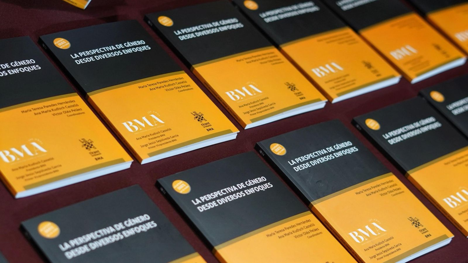 María Teresa Paredes Hernández – Los Reporteros Mx